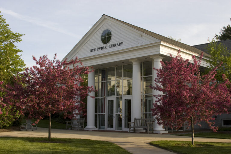 Library Common Park Update 8/20/21 – Rye Public Library
