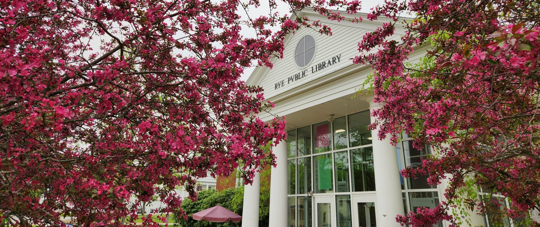Staff Directory – Rye Public Library